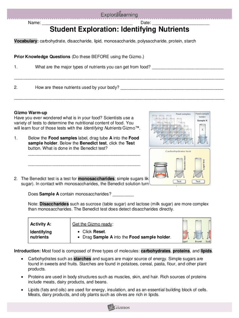Fillable Online Student Exploration- Identifying Nutrients (ANSWER KEY ...