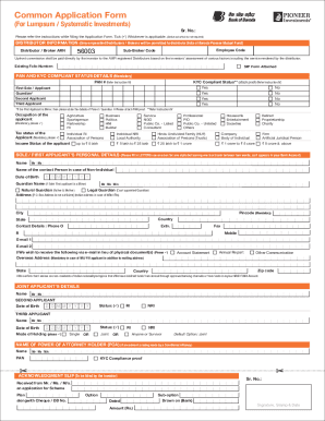 Fillable Online Common Application Form - Rai Investment Fax Email Print - pdfFiller