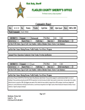 Fillable Online Director of Human Resources - Flagler County Sheriff's Office Fax Email Print ...