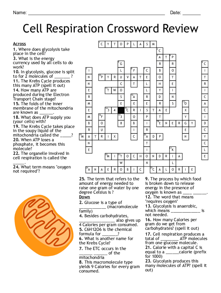 Fillable Online Photosynthesis and Cellular Respiration Review Sheet Fax Email Print - pdfFiller