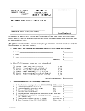 Fillable Online FINANCIAL SENTENCING ORDER Fillable Fax Email Print ...