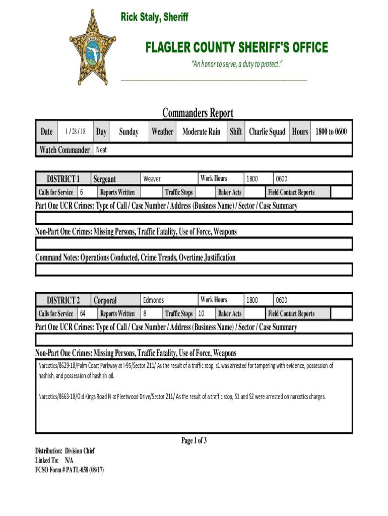 Fillable Online Flagler County Sheriff's OfficeSheriff's Office Palm Coast FL Fax Email Print ...