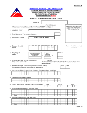 Fillable Online BORDER ROADS ORGANISATION - Contabo Fax Email Print ...