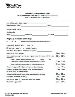 Fillable Online Universal 17-P Authorization Form - Providers - First ...