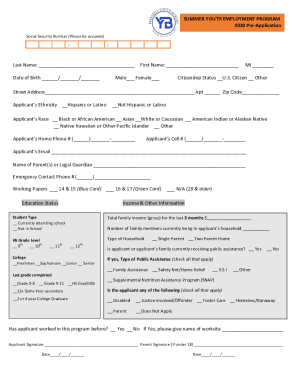 Fillable Online SUMMER YOUTH EMPLOYMENT PROGRAM ... - City of Peekskill ...