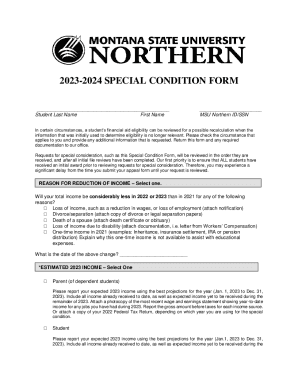 Fillable Online 2023-2024 SPECIAL CONDITION FORM Fax Email Print - pdfFiller