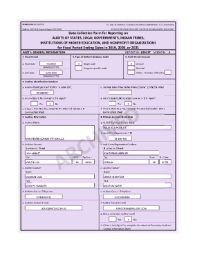 Fillable Online Tribal AffairsAmerican Indian and Alaska Native (AIAN ...