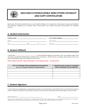 Fillable Online Citizen-Eligible Non-Citizen Affidavit Fax Email Print - pdfFiller
