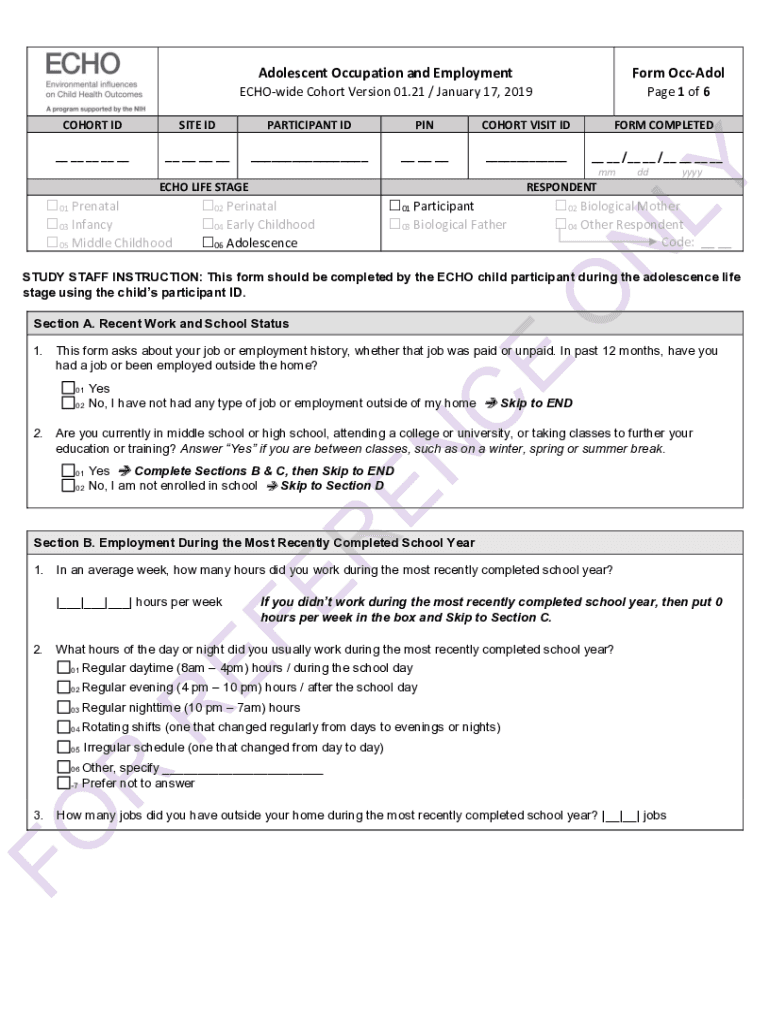 Fillable Online Adolescent Occupation and Employment Form.pdf Fax Email ...