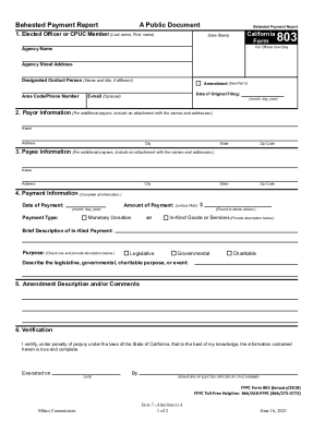 Fillable Online ethics lacity DataBehested Payment Reports (Form 803 ...