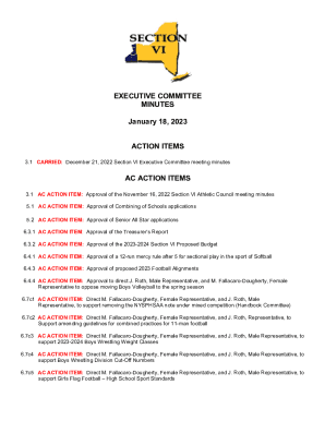 Fillable Online AC ACTION ITEMS Fax Email Print - pdfFiller