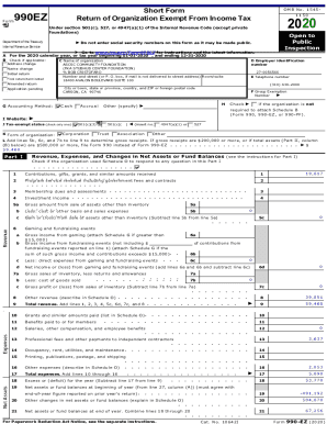 Fillable Online 2020 Form 990EZ Filing - IRS Fax Email Print - pdfFiller