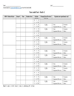 Fillable Online Turn Audit Tool Draft v2 Fax Email Print - pdfFiller
