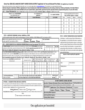 Fillable Online amador networkofcare Free and Reduced Lunch Forms Fax ...