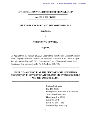 Fillable Online in the supreme court of pennsylvania - The Institute ...