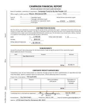Fillable Online CAMPAIGN FINANCIAL REPORT - Revize Fax Email Print ...