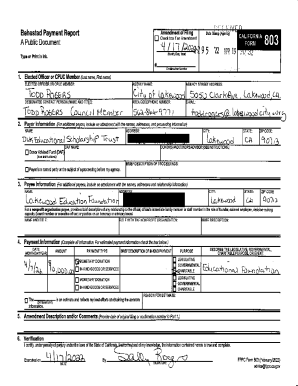 Fillable Online Behested Payment Report - City of Lakewood Fax Email ...