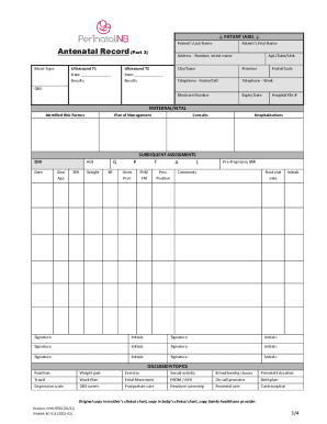 Fillable Online Antenatal Record (Part 1) - Horizon Health Network Fax ...