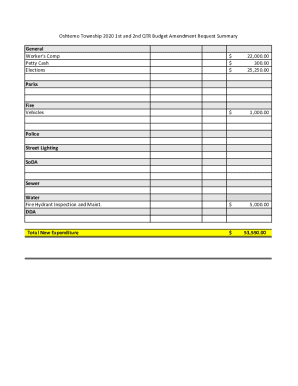 Fillable Online 2020 BUDGET AMENDMENT REQUEST FILLABLE.pdf Fax Email ...