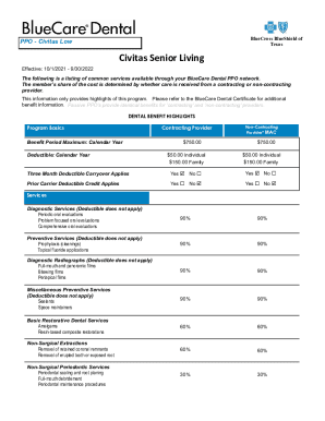 Fillable Online Dental Highlight Sheet Low Plan Fax Email Print - pdfFiller