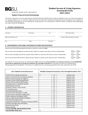 Fillable Online BGSU Student Income & Living Expenses Assessment Form ...