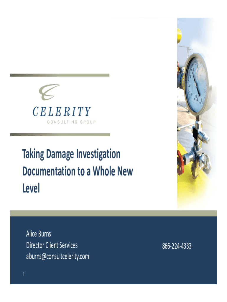 Fillable Online Taking Damage Investigation Documentation to a Whole ...