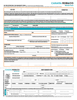 Fillable Online DEBIT MANDATE FORM Fax Email Print - pdfFiller