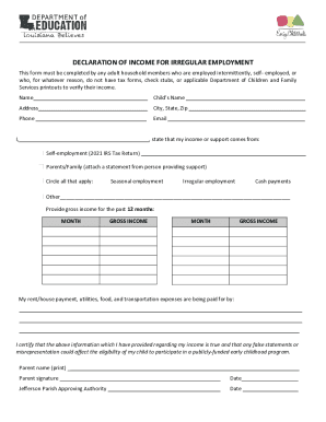 Fillable Online Declaration Of Income - Fill Online, Printable ...