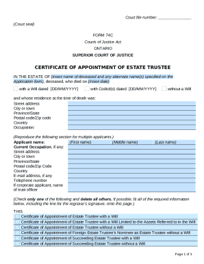 1. Fill out the probate application - Steps to Justice - ontariocourts ...