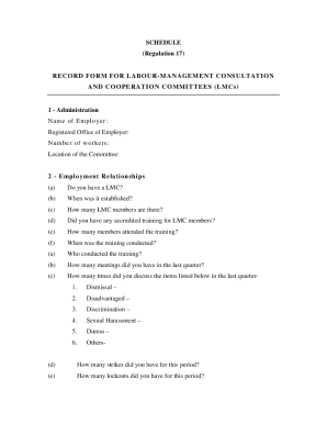 Fillable Online SCHEDULE (Regulation 17) RECORD FORM FOR LABOUR ... Fax Email Print - pdfFiller