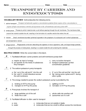 Fillable Online Active transport worksheet Fax Email Print - pdfFiller