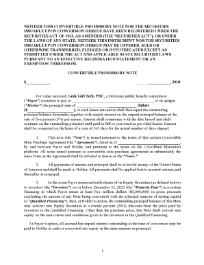 Fillable Online Form of Gunnar Convertible Promissory Note, issued ...