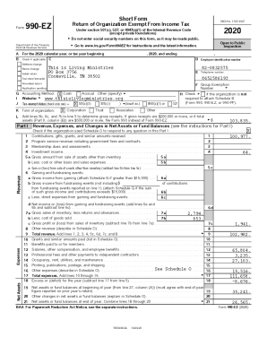 Fillable Online Form 990-EZ 2020 Fax Email Print - pdfFiller