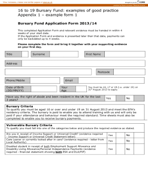 Fillable Online 16 to 19 Bursary Fund: examples of good practice Appendix 1 Fax Email Print ...