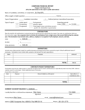 Fillable Online campaign financial report Fax Email Print - pdfFiller