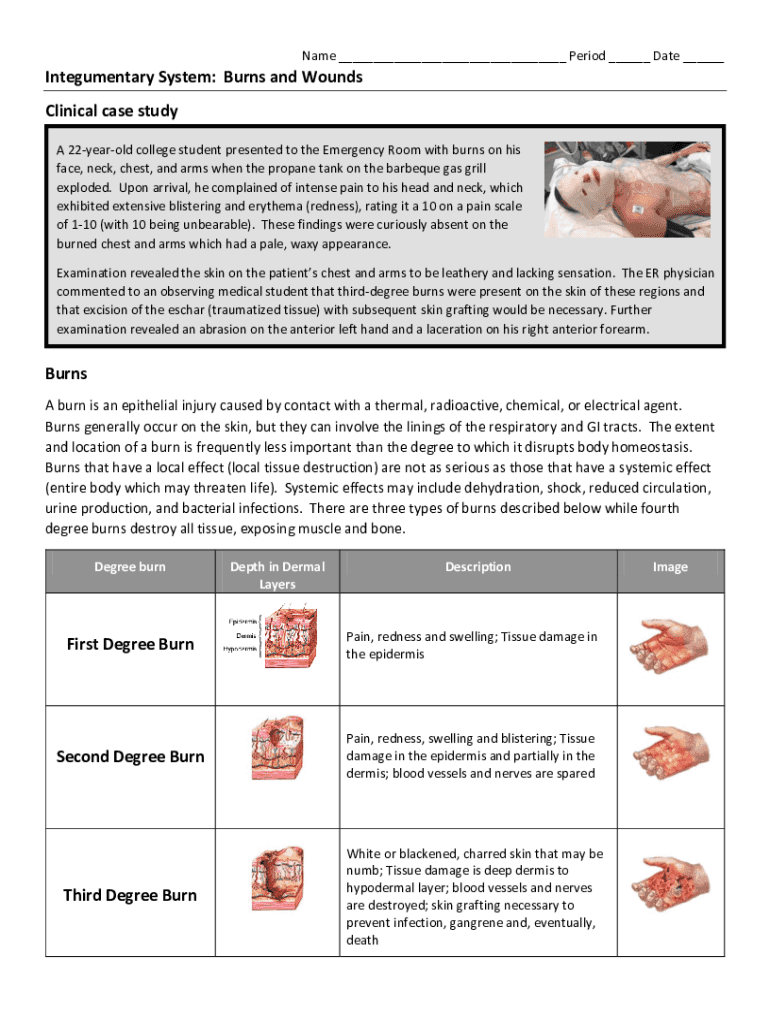 Fillable Online Integumentary System: Burns and Wounds Clinical case ...