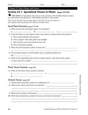 Fillable Online Chapter 23, Plant Form and Physiology Video ... - Numerade Fax Email Print ...