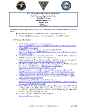 Fillable Online Situation Report #22 Fax Email Print - pdfFiller