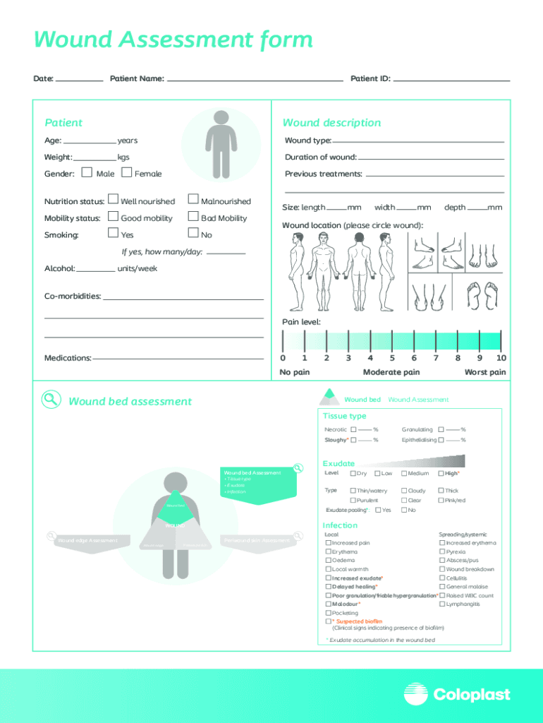 Fillable Online Wound Assessment form Fax Email Print - pdfFiller
