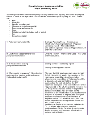 Fillable Online Equality impact assessment (EIA) initial/rapid ...