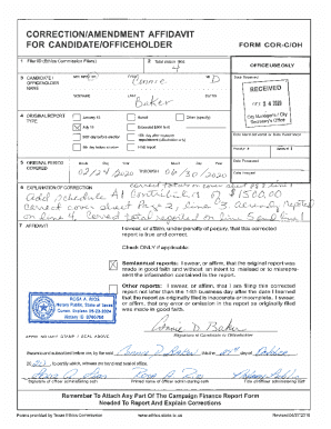 Fillable Online CORRECTION/AMENDMENT Fax Email Print - pdfFiller