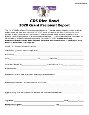 Fillable Online 2021 catholic relief services rice bowl grant report ...
