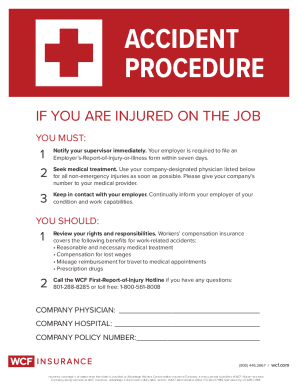 Fillable Online RIDDOR: How to Report an Incident or Accident at Work ...