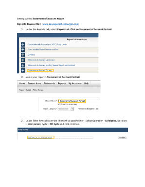 Fillable Online Setting up the Statement of Account Report Sign into ...