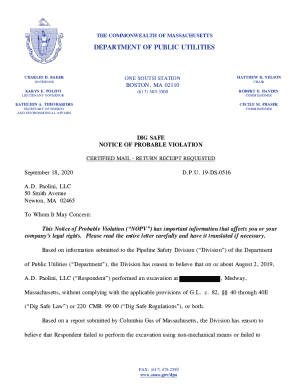Fillable Online Massachusetts Department of Public Utilities DPU ...