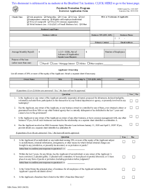 Fillable Online Paycheck Protection Program (PPP) Document Worksheet ...
