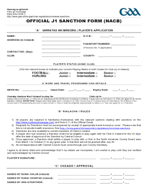 Fillable Online OFFICIAL NEW YORK SANCTION FORM - Laois GAA Fax Email ...