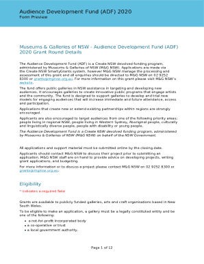 Fillable Online Audience Development Preliminary Plan Template - Bell ...