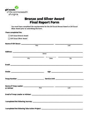 Fillable Online Bronze and Silver Award Final Report Form Fax Email ...