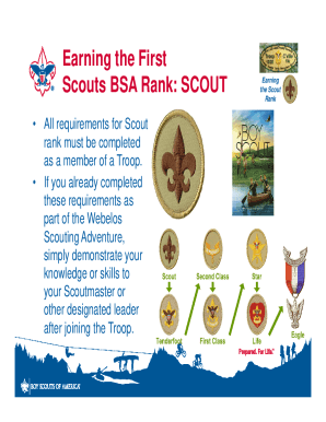 Fillable Online Scouting RanksBoy Scouts of America - Scouts BSA Troop ...